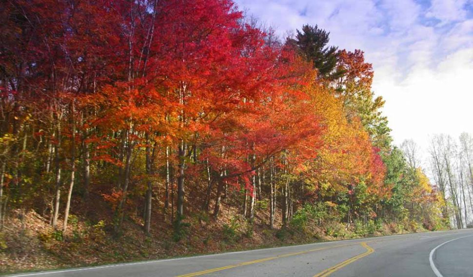Fall Foliage in Northeast Tennessee - Northeast Tennessee