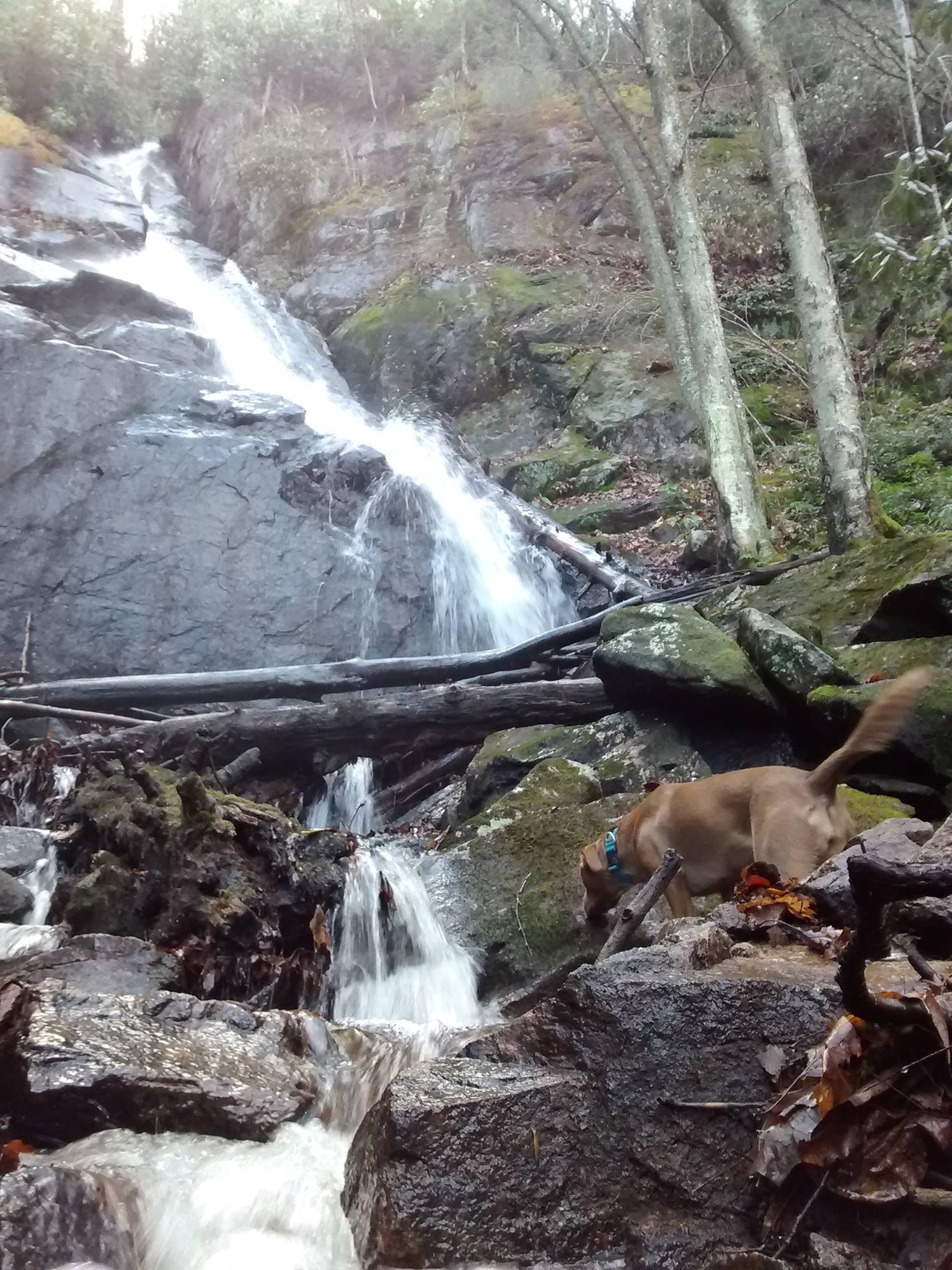 Chasing Waterfalls around Northeast Tenn: Brace Yourself, it’s ...