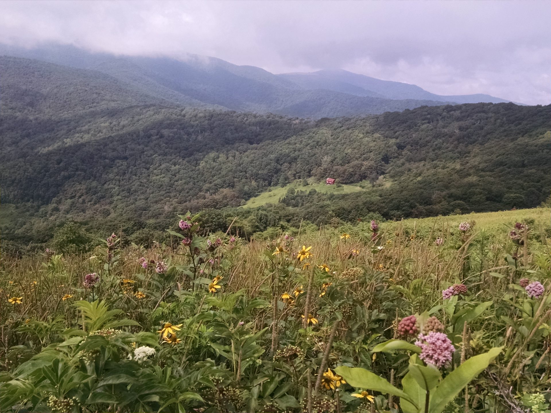 Best Places to Backpack in Northeast Tennessee - Northeast Tennessee