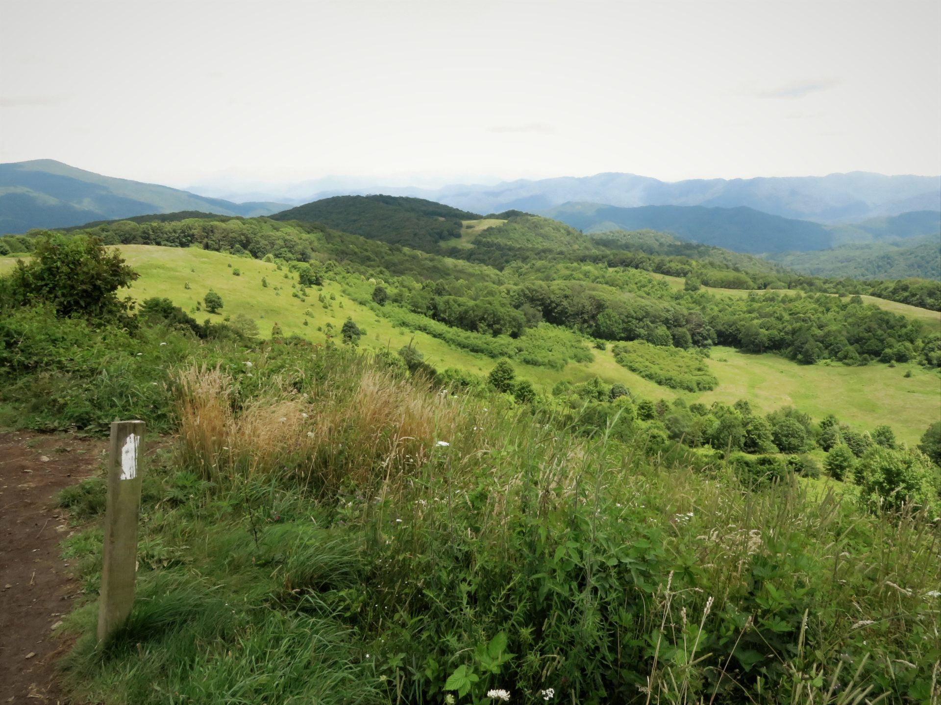 Max Patch in All Seasons - Northeast Tennessee