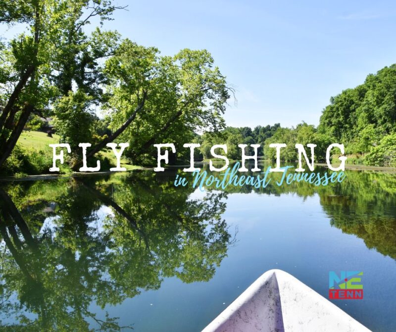 Expert Local Guides for Fly Fishing in Northeast Tennessee - Northeast ...